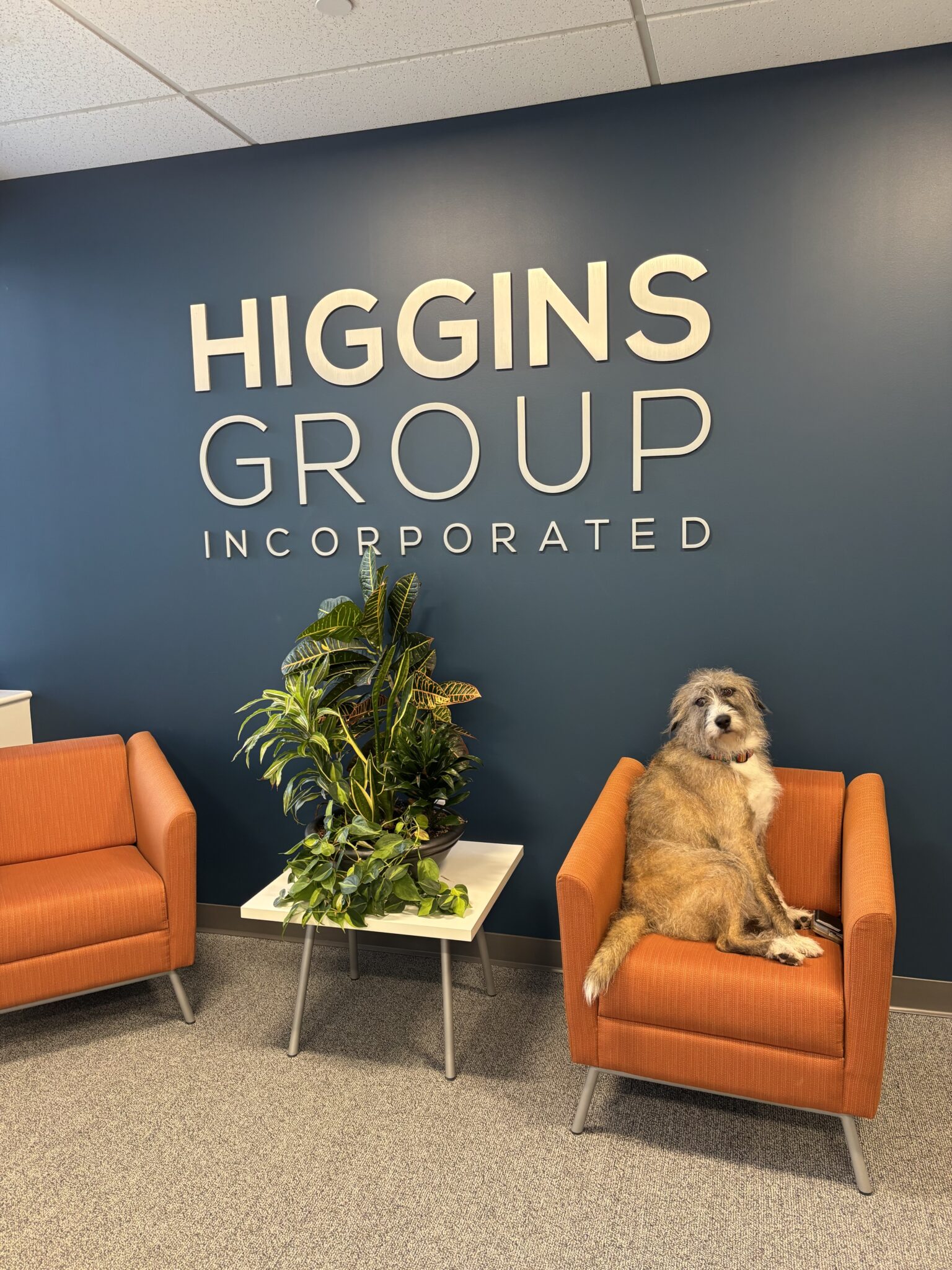 Story - The Higgins Group